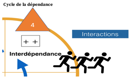 La phase d'interdépendance | alias-MEDIATION